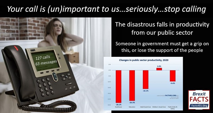 The disastrous falls in productivity from our public sector